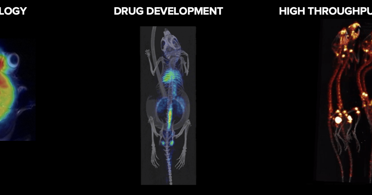 An introduction to preclinical PET imaging – Molecubes