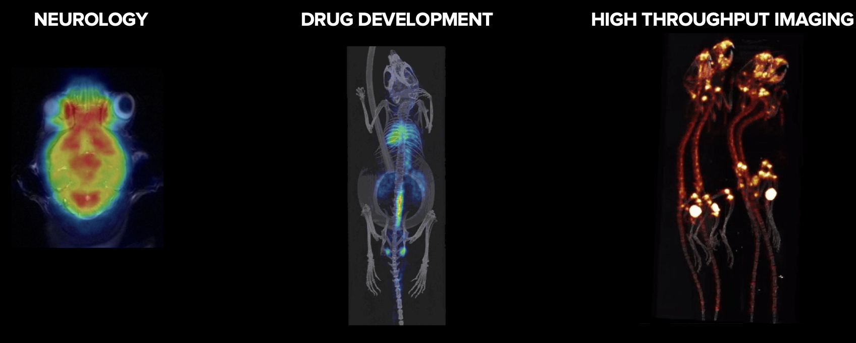 An introduction to preclinical PET imaging - Molecubes